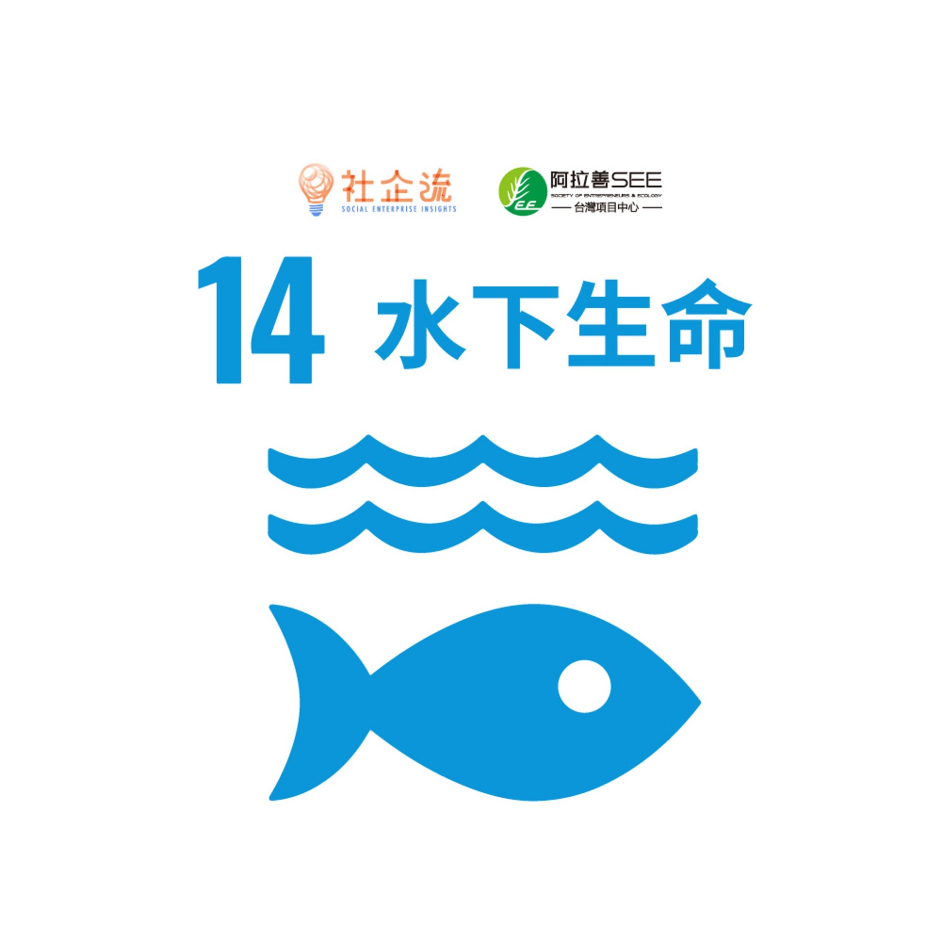 珊瑚礁 :: SDGs14 永續海洋及保育